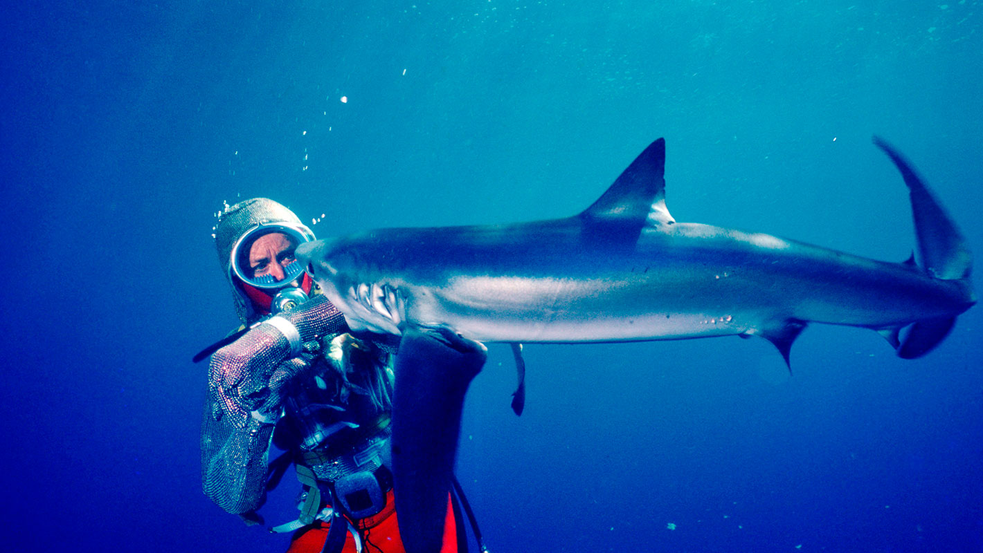 Deep Revelations: Capturing The Human – Animal Interface | AIDC