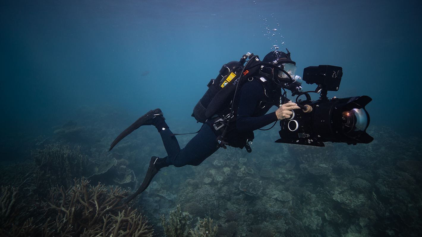 Deep Dive: Filming in the Big Blue | AIDC
