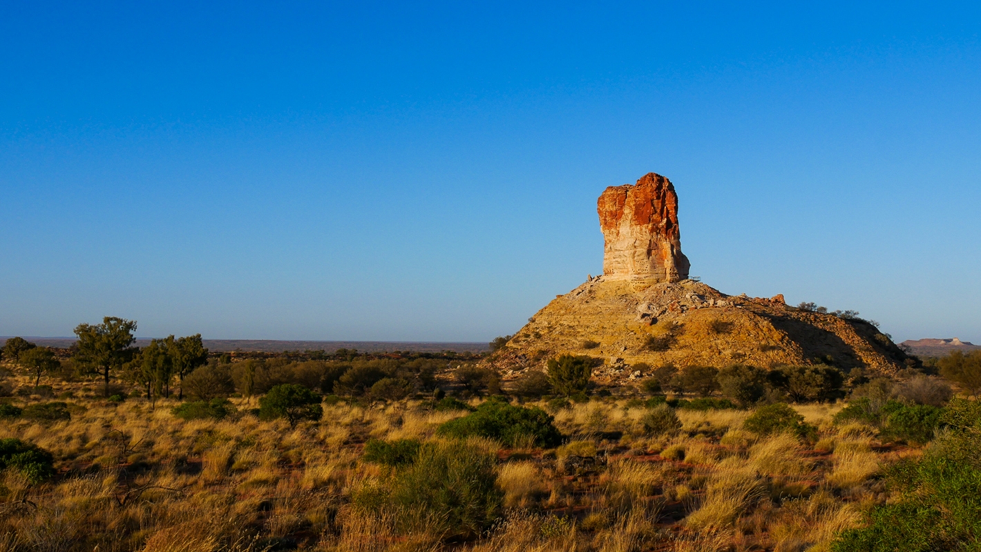 Indigenous Creators Program: Meet the Decision Makers Seeking ...