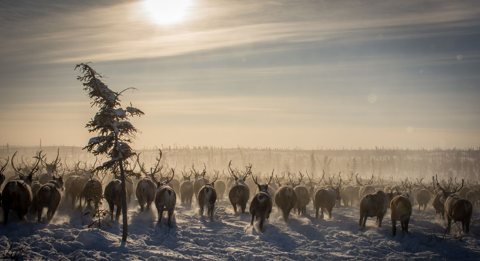 2025 Canadian Delegation | AIDC